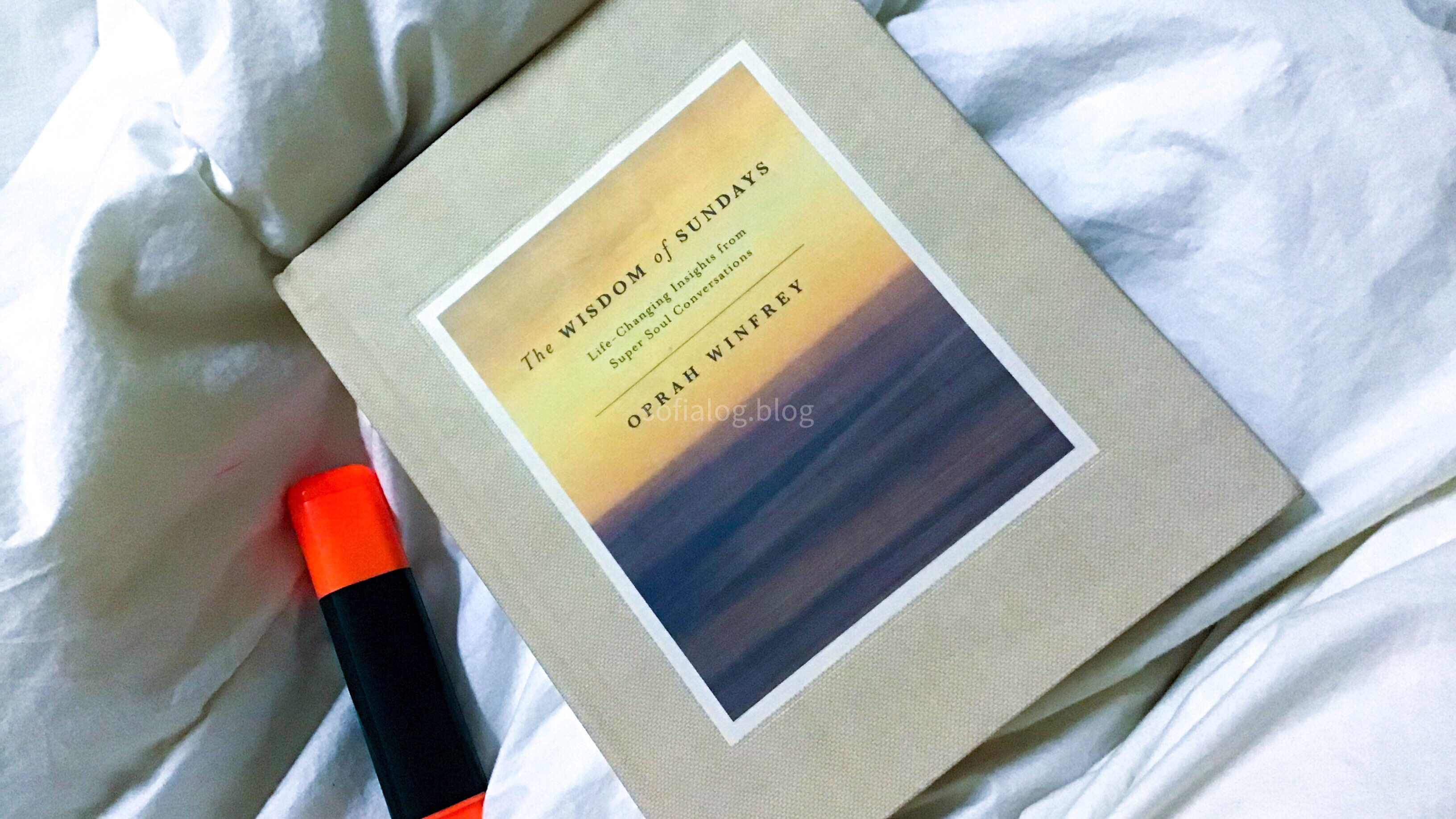 Marie Forleo شکر گزاری اور تمکنت – SofiaLog