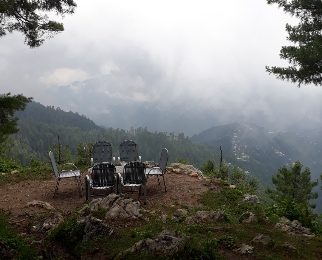 دامن میں کوہ کے______ بریرہ صدیقی – SofiaLog