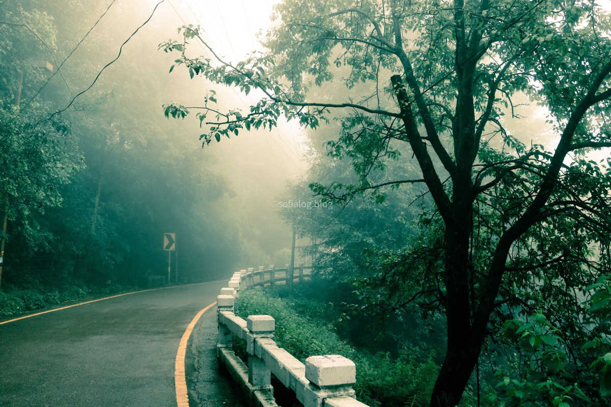 نقطہ آغاز سے نقطہ انجماد تک!_______عمر – SofiaLog